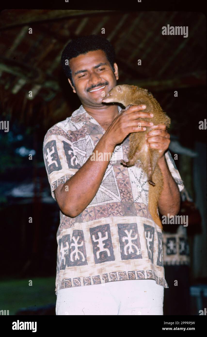Man with Indian Brown Mongoose, Viti Levu, Fiji Stock Photo - Alamy