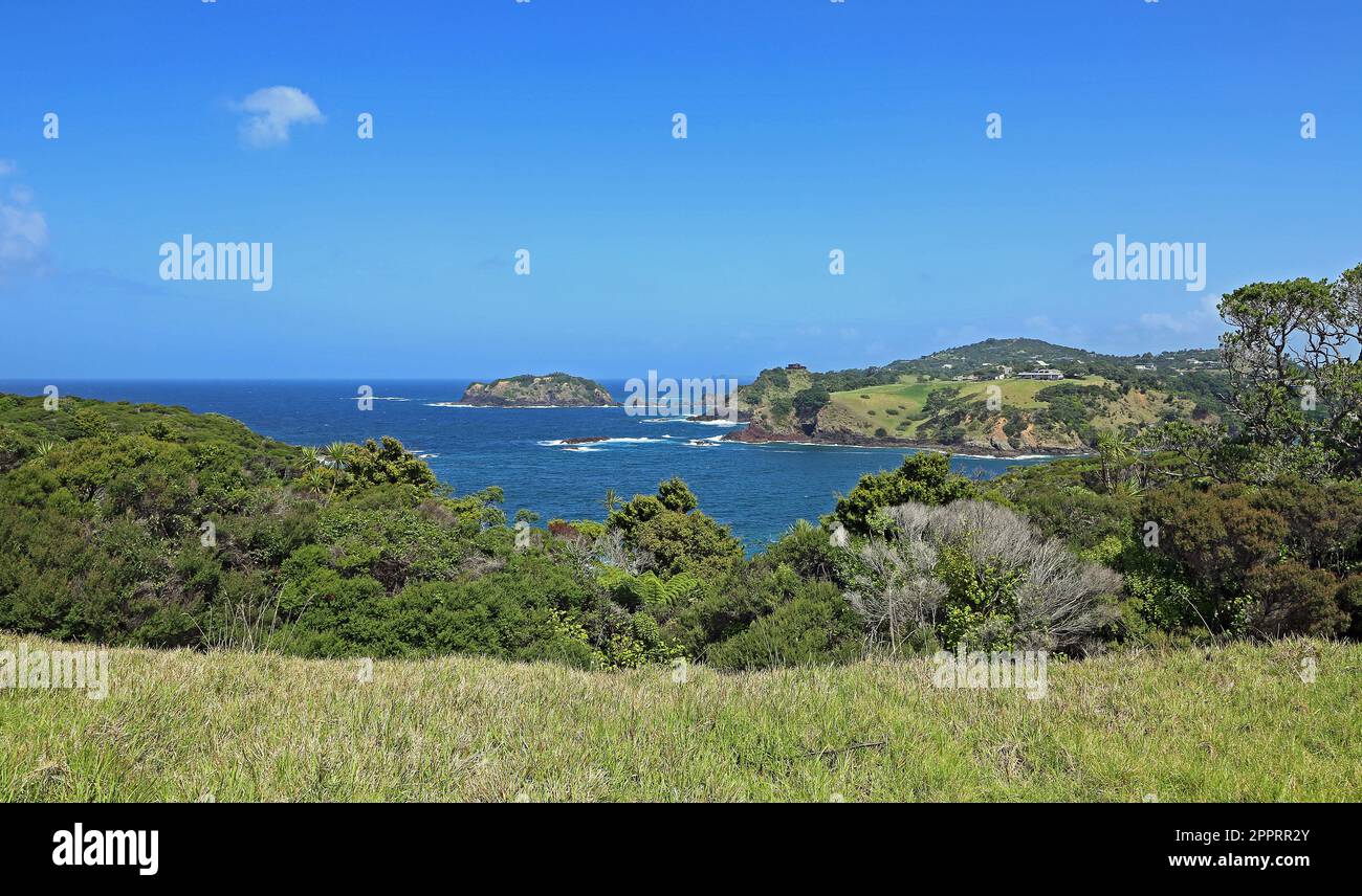 Shore of Tutukaka head - New Zealand Stock Photo - Alamy