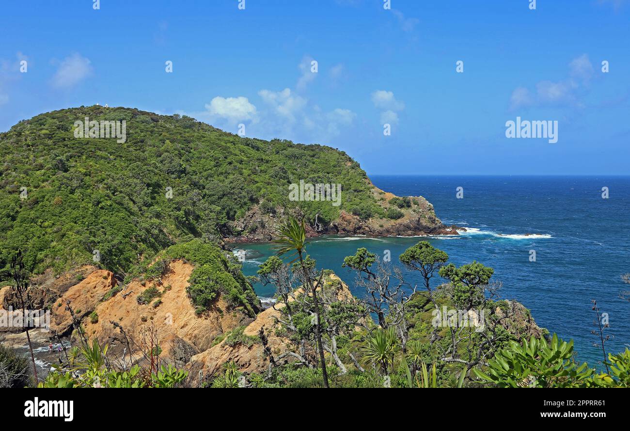 Cliffs of Tutukaka head - New Zealand Stock Photo - Alamy