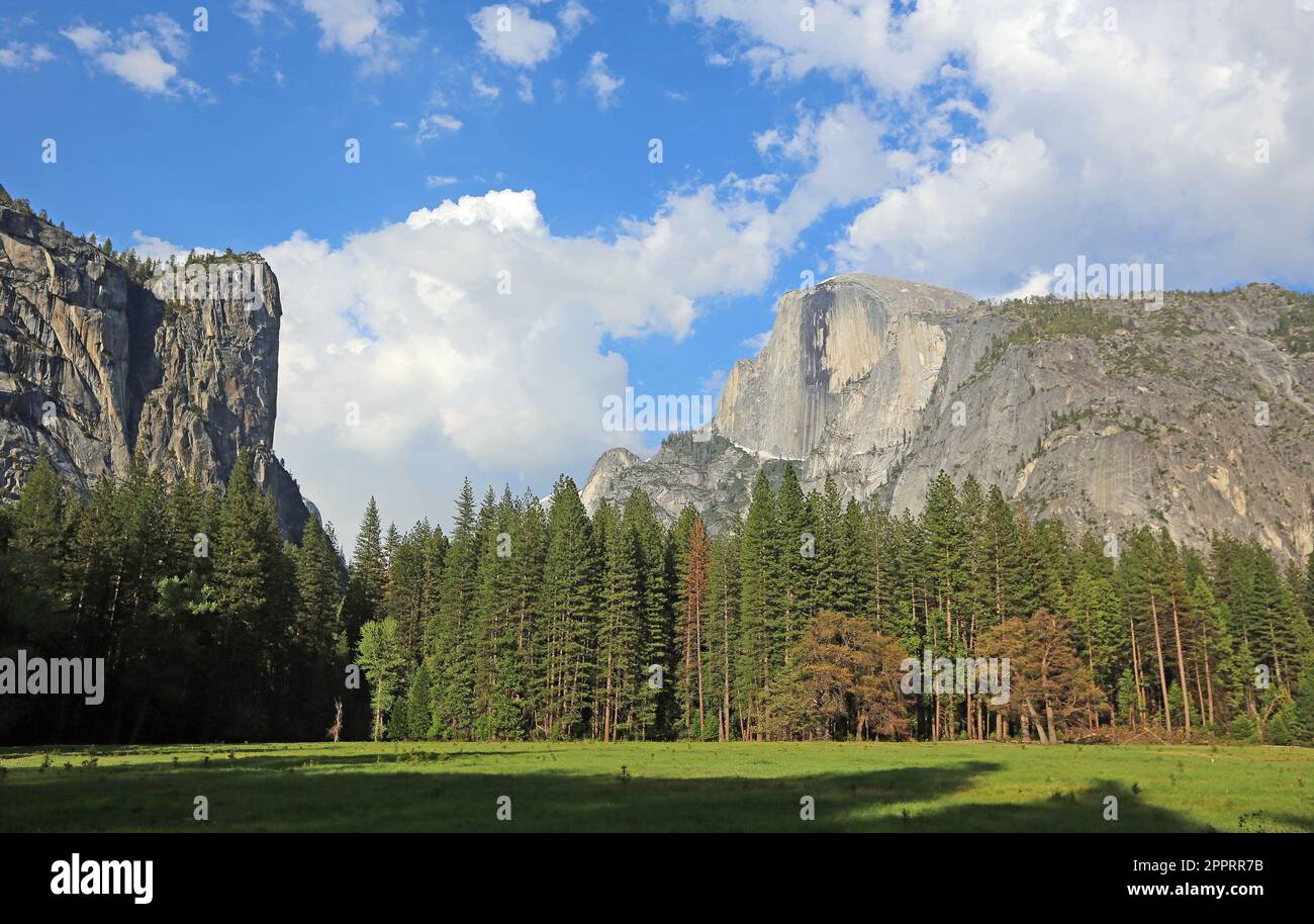 Yosemite grass hi-res stock photography and images - Alamy