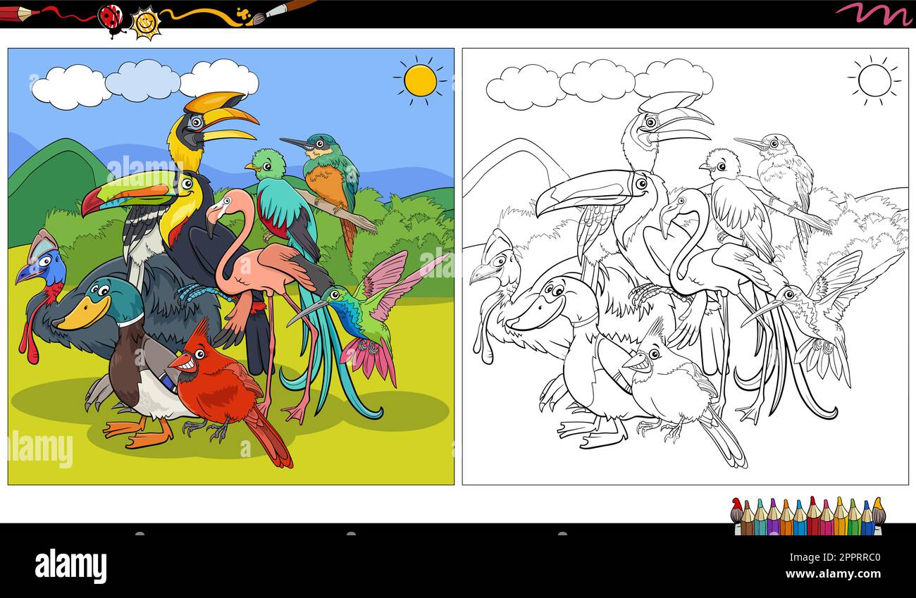 cartoon birds animal characters group coloring page Stock Vector Image ...