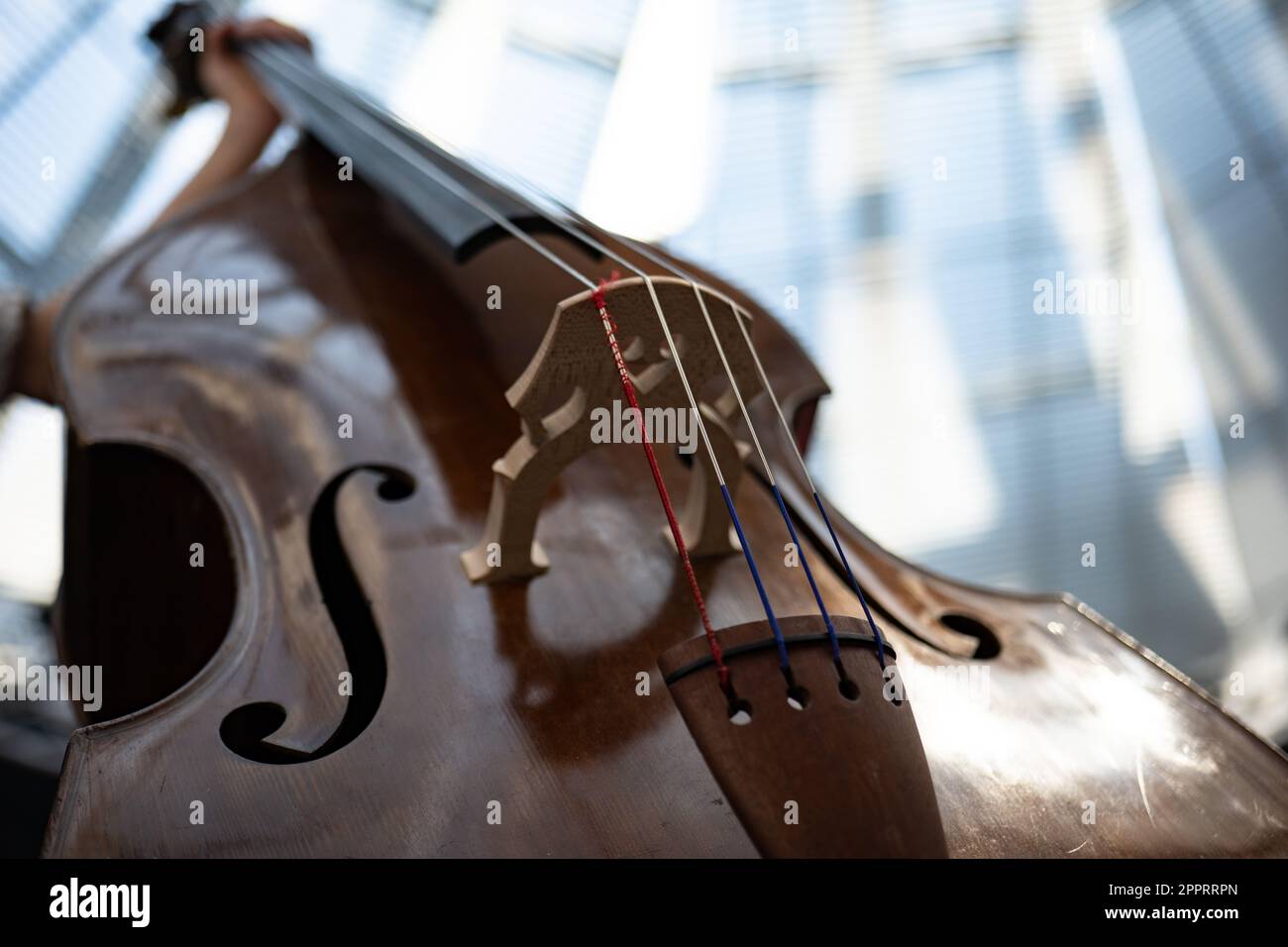 A contrabass hi-res stock photography and images - Alamy