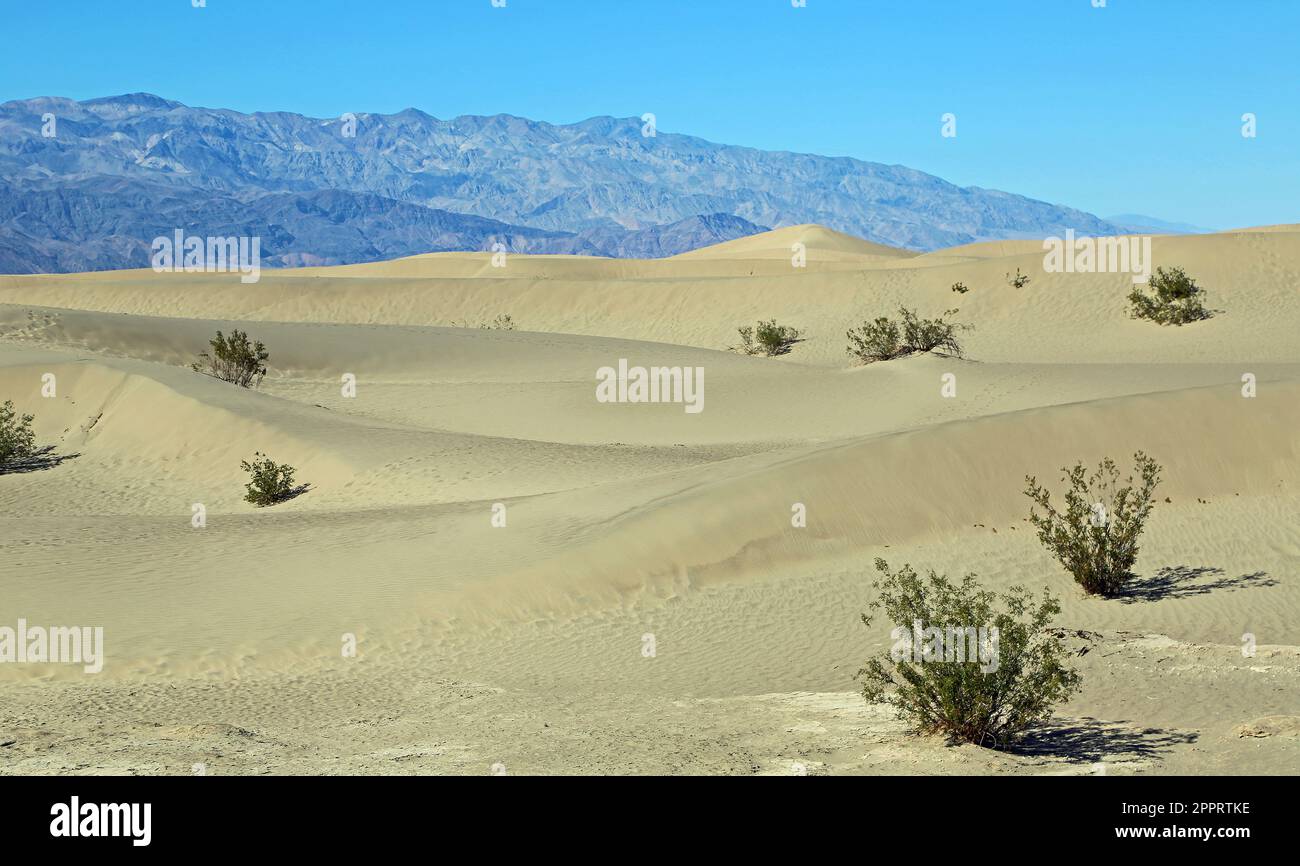 Mesquite Flat Sand Dunes - Death Valley, California Stock Photo - Alamy