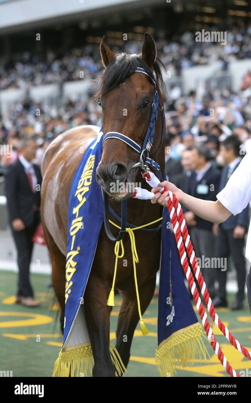 2023 the yomiuri hi-res stock photography and images - Alamy