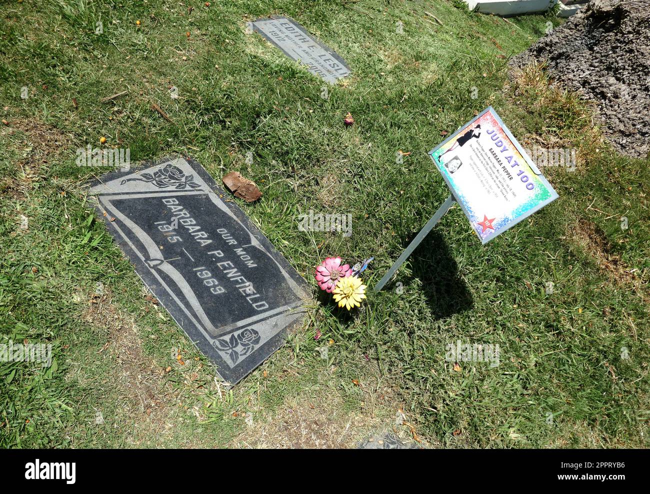 Barbara pepper hi-res stock photography and images - Alamy