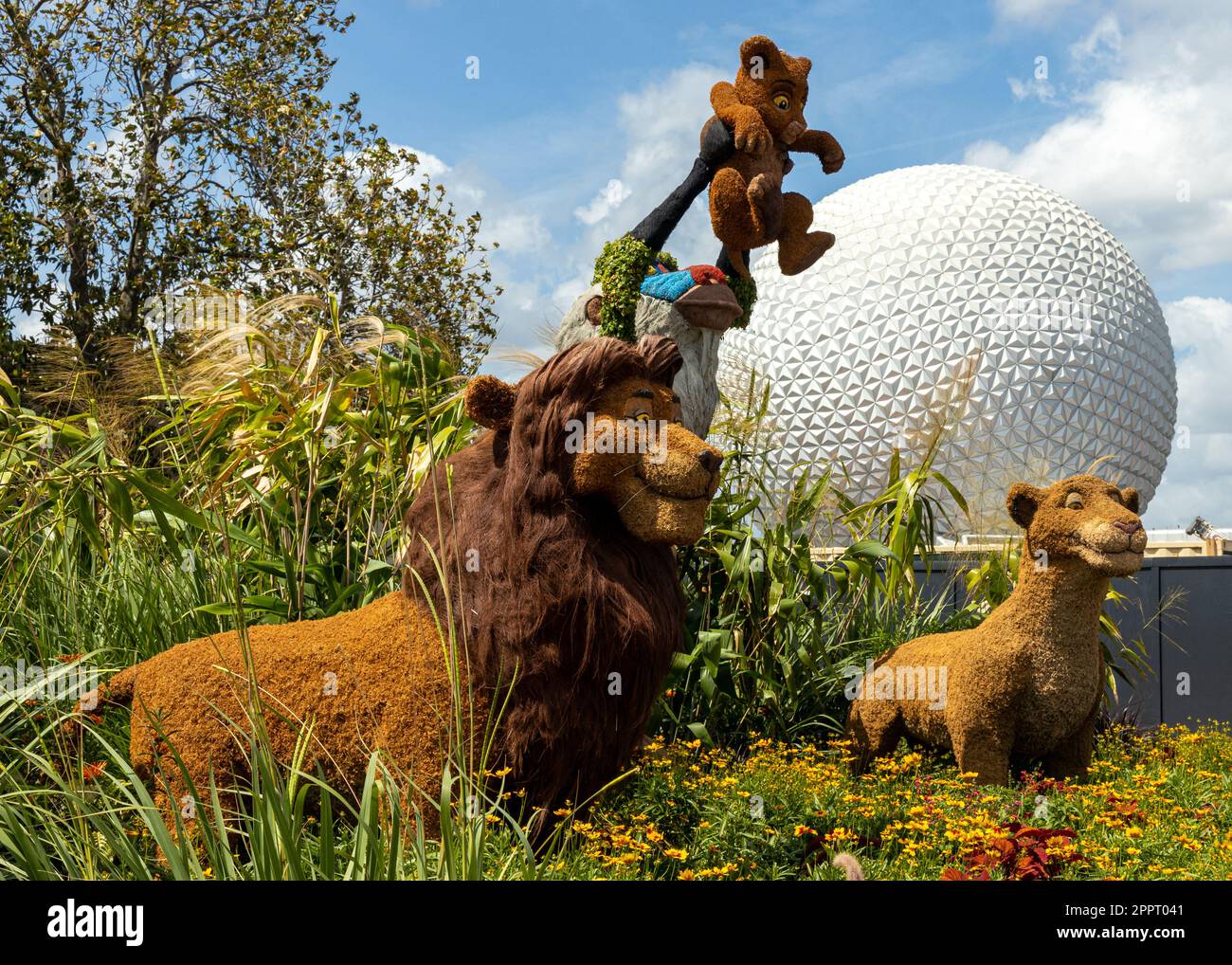 The amazing world Stock Photo - Alamy