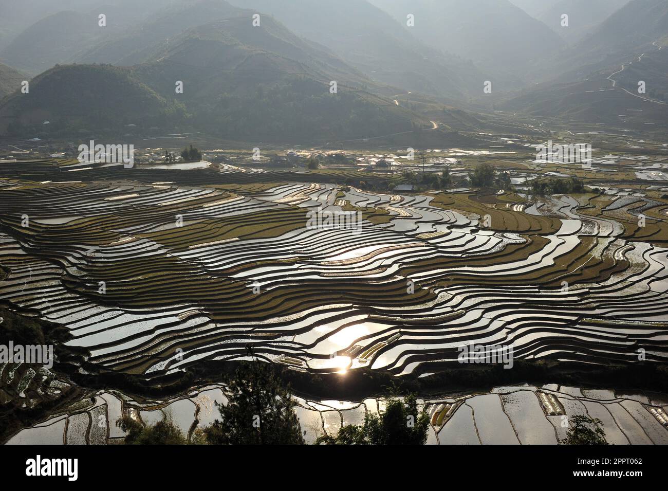 Terrace field in north west Vietnam Stock Photo - Alamy