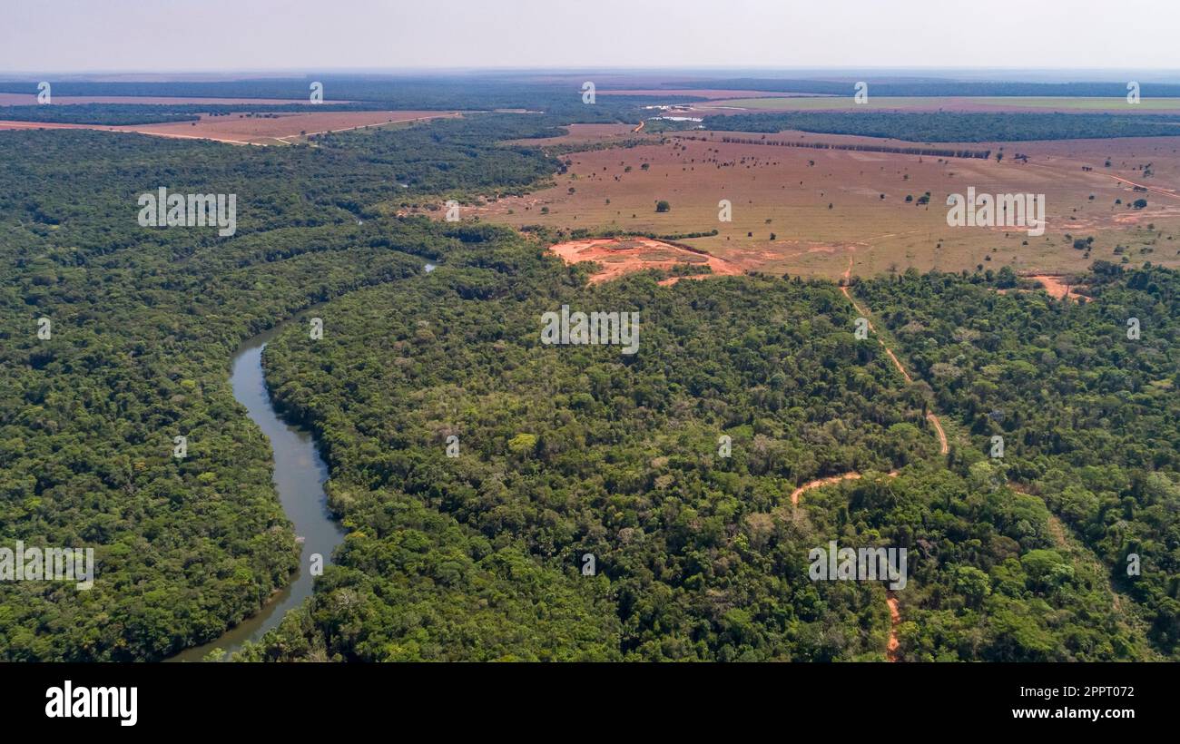 Aerial view of a meandering Amazon tributary river, roads through ...