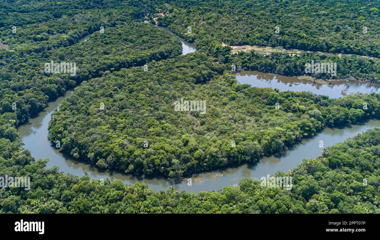 Aerial view of a meandering Amazon tributary river, Amazonian ...