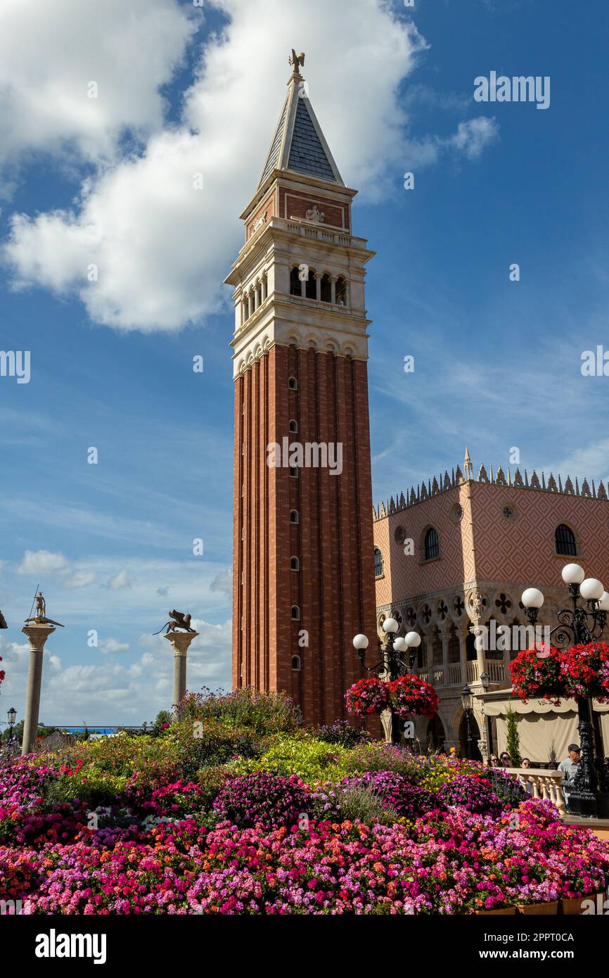 The amazing world Stock Photo - Alamy