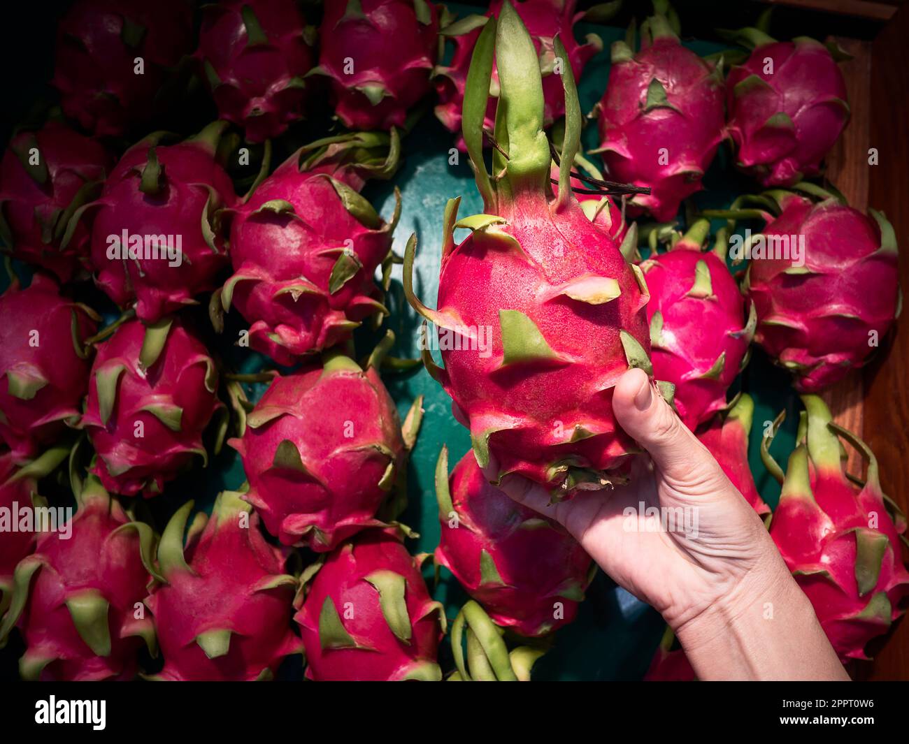 A female hand takes a dragon fruit in the fruit and vegetable aisle in ...