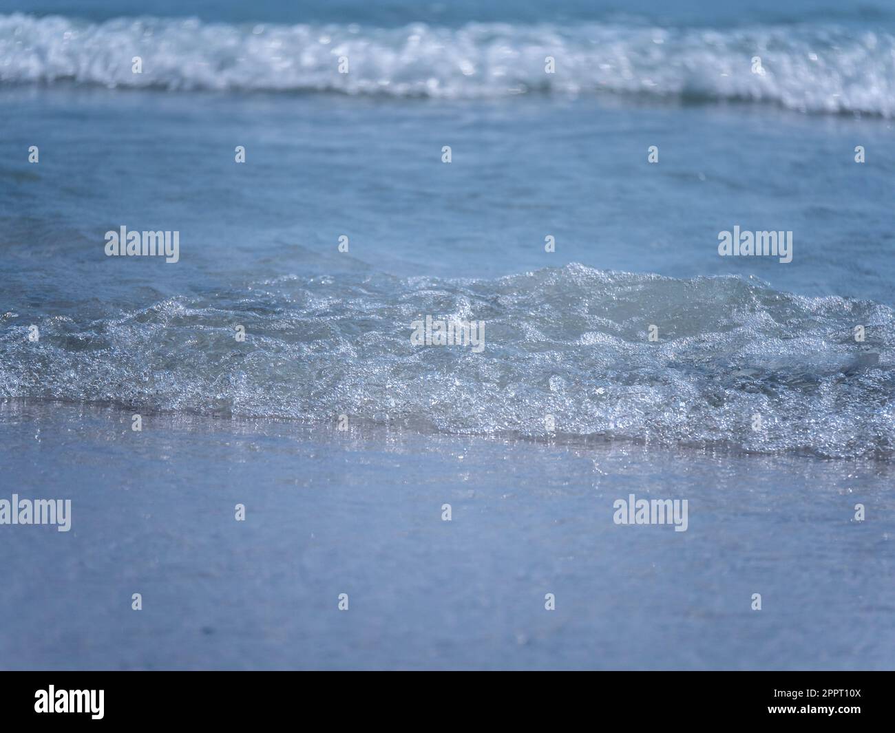 Close up shot selective focus hi-res stock photography and images - Alamy
