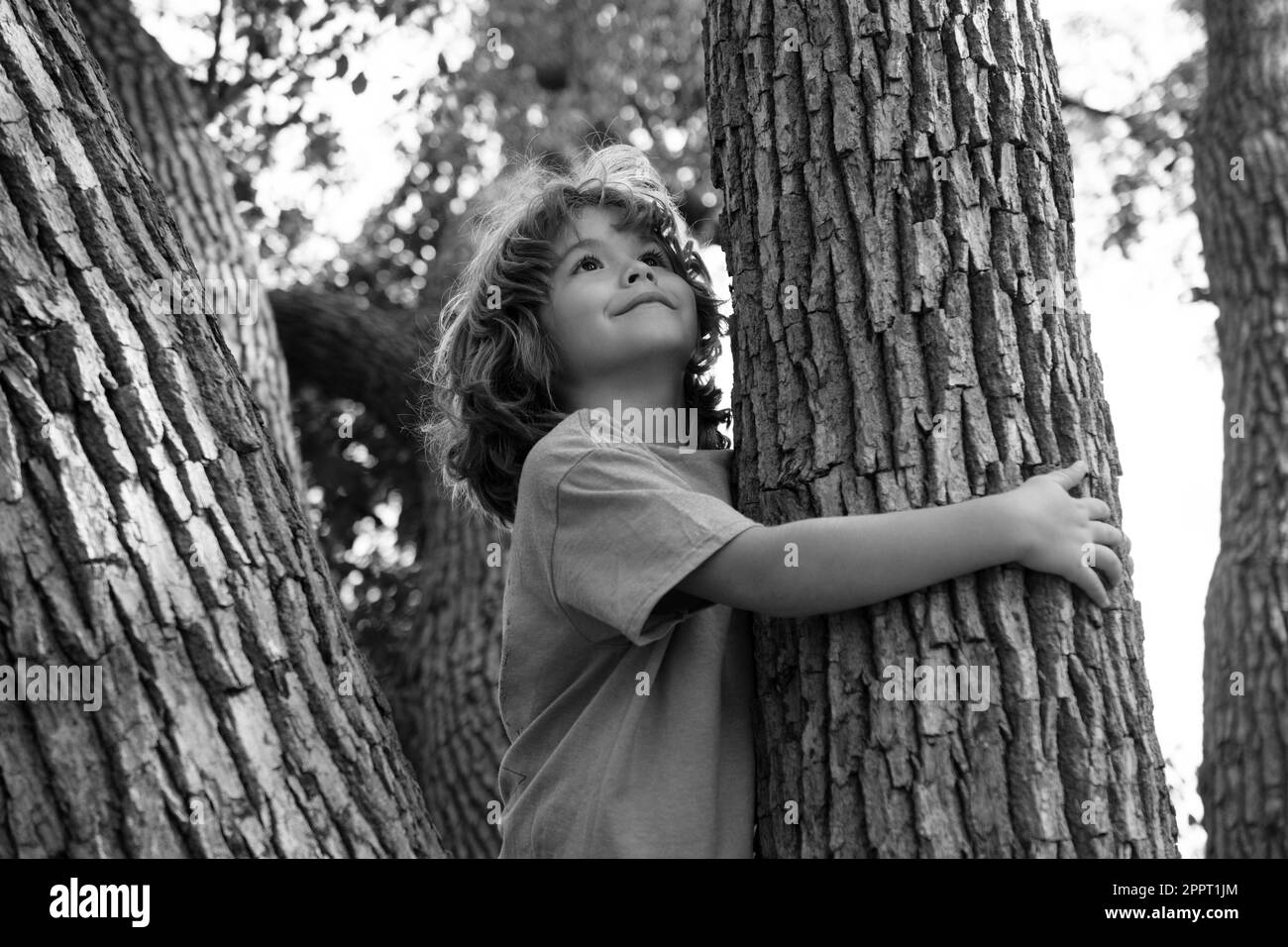 Young boy hugging a tree branch. Little boy kid on a tree branch. Child ...