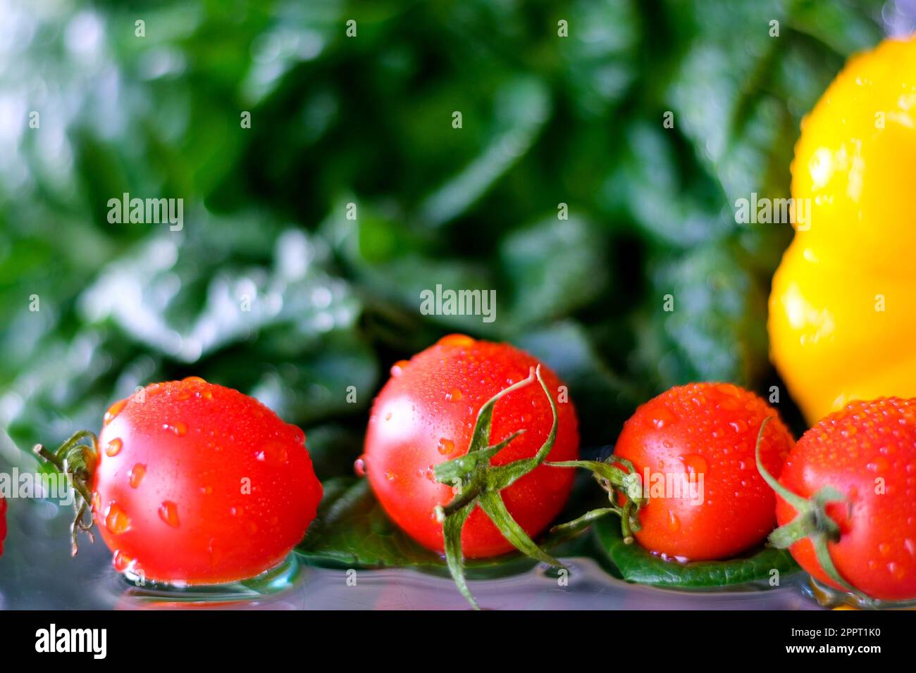 Super Slow Motion Shot of Flying Cuts of Colorful Vegetables and Water ...