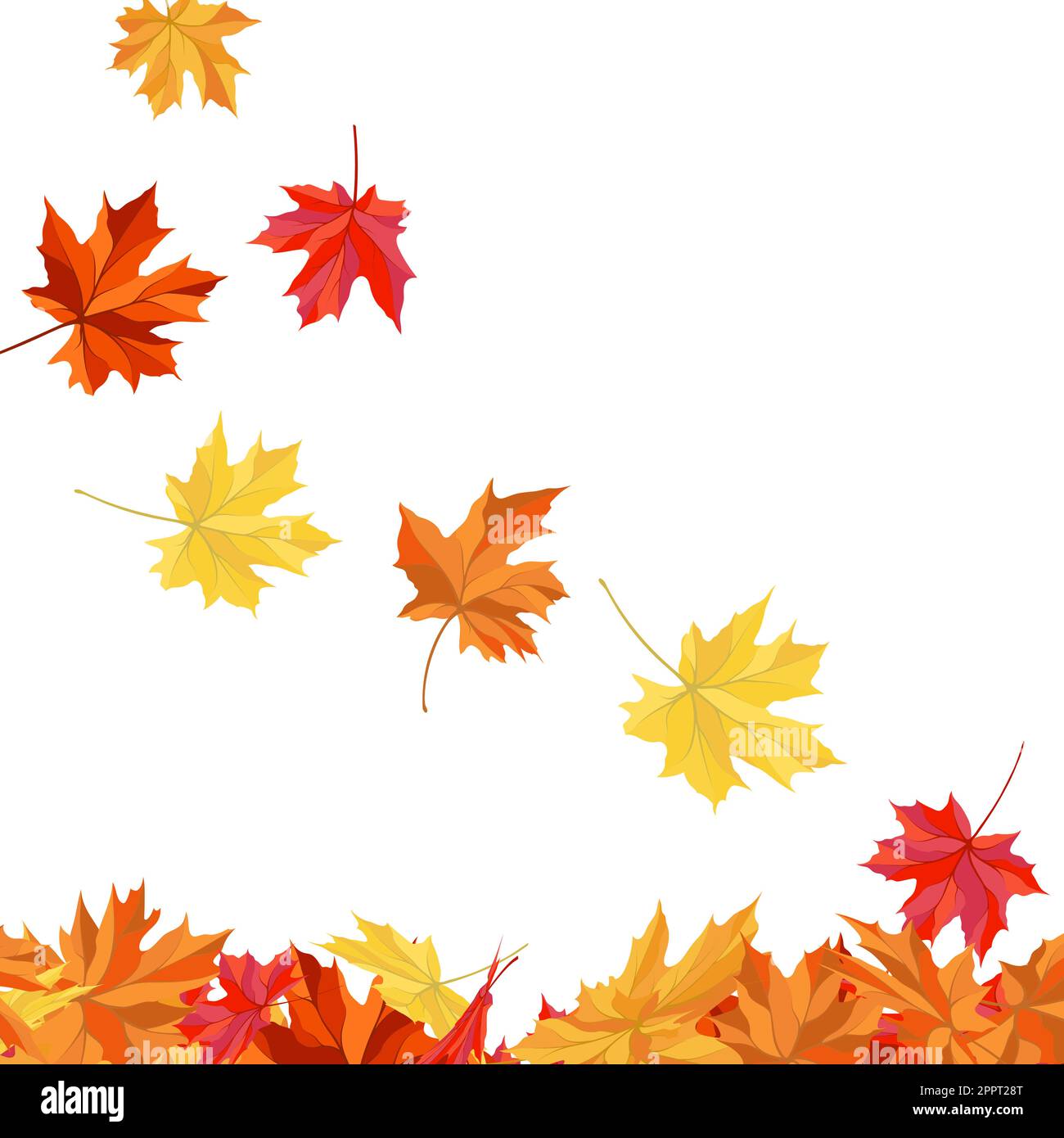Autumn Maple Frame Stock Vector Image & Art - Alamy