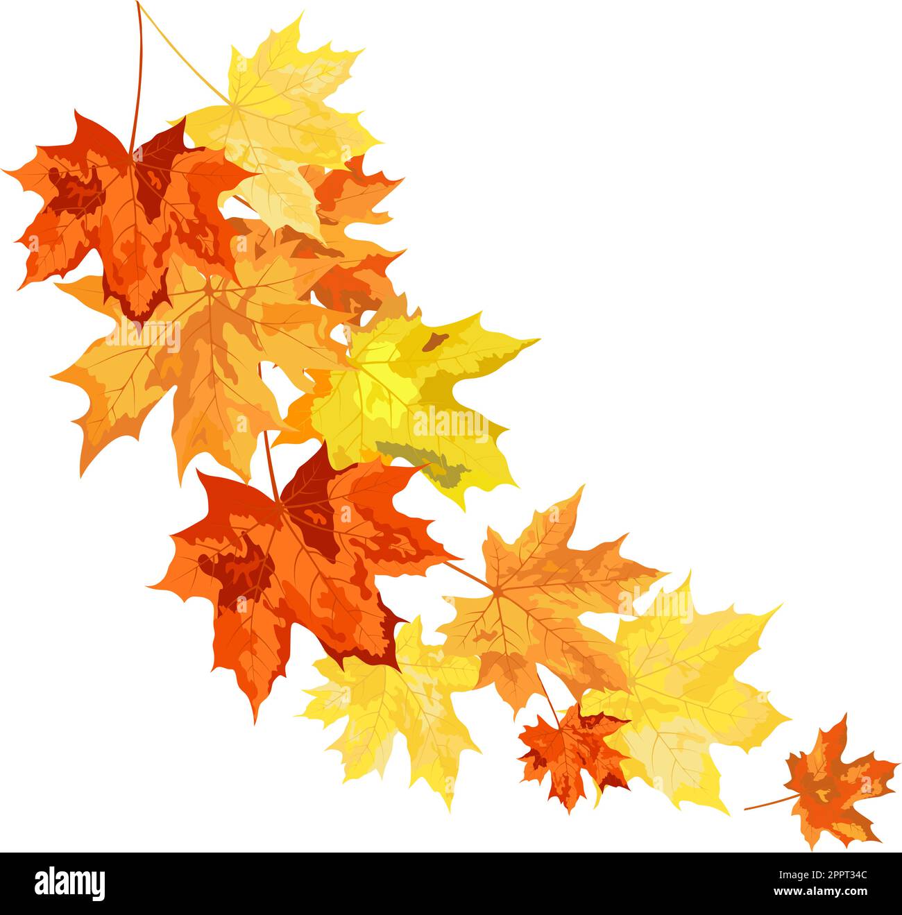 Autumn Maple Frame Stock Vector Image & Art - Alamy