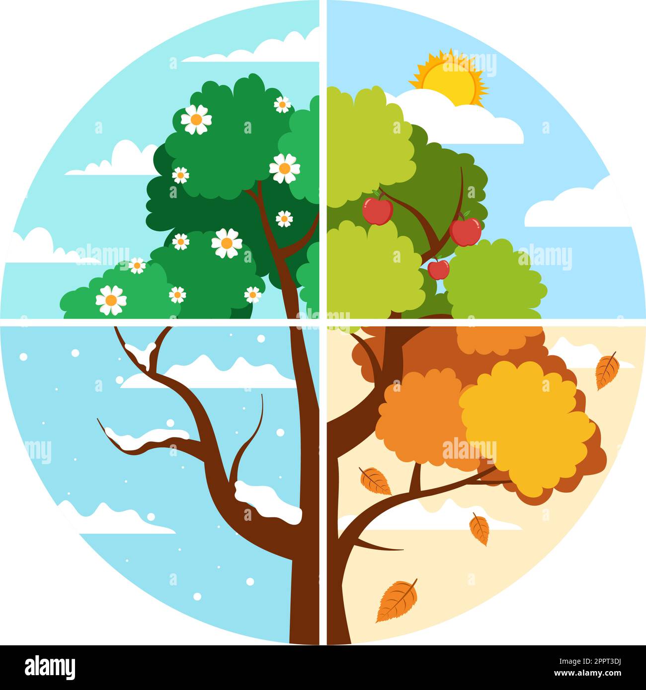 Scenery of the Four Seasons of Nature with Landscape Spring, Summer ...