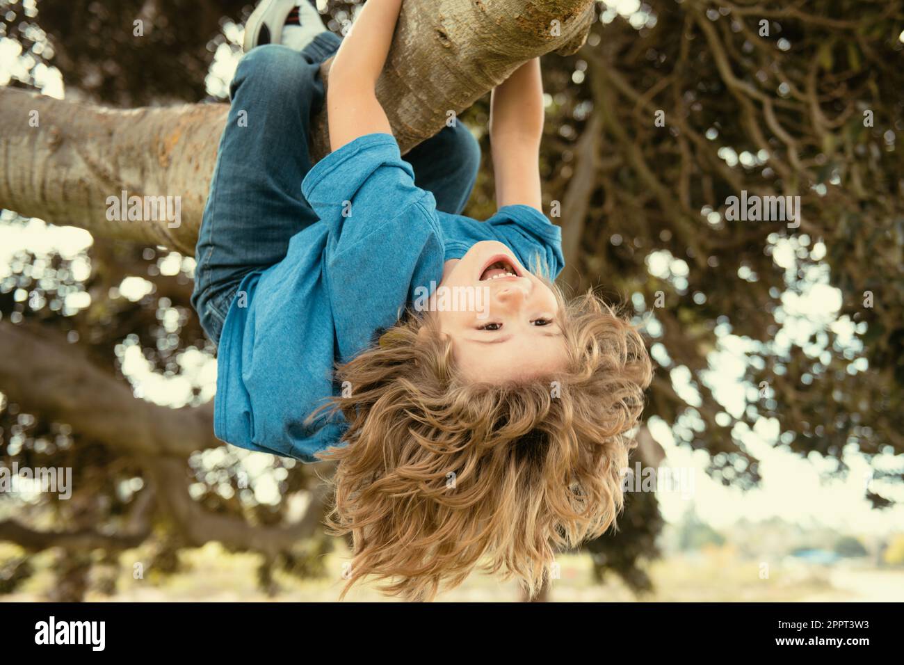 Childhood leisure. Happy kids hanging upside down on tree and having ...