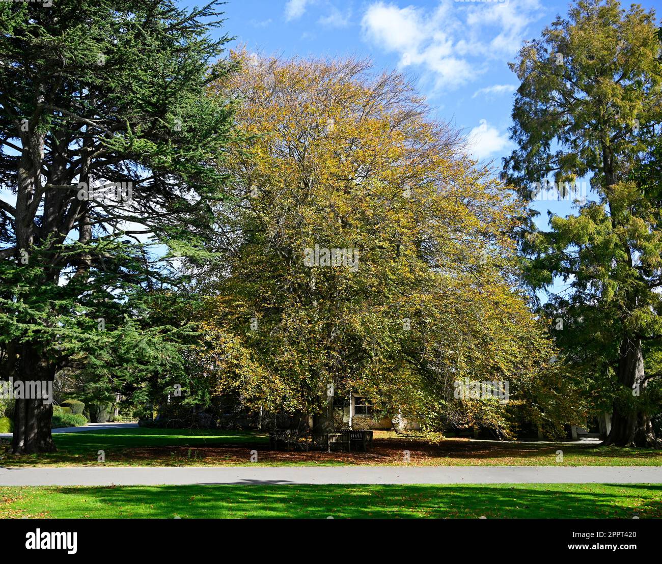 Christchurch botanic gardens hi-res stock photography and images - Alamy