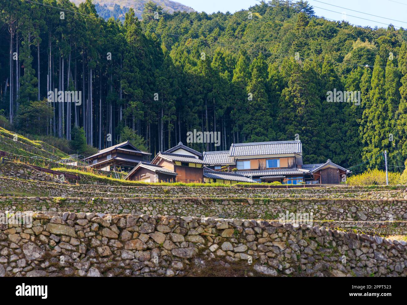 Traditional Japanese farm house over stone walls and terraced fields in ...