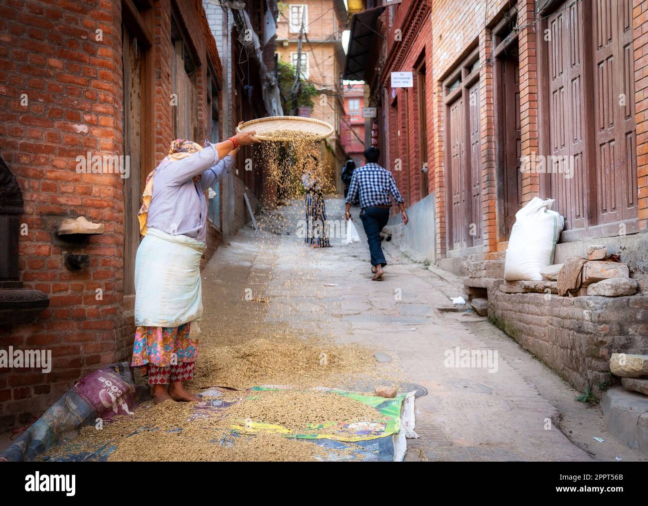 Sifting the chaff hi-res stock photography and images - Alamy