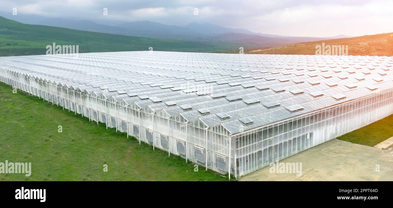 Aerial view industrial agricultural greenhouses for growing. Greenhouse ...