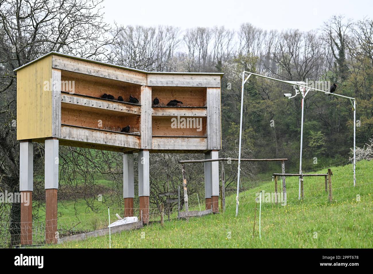 PRODUCTION - 20 April 2023, Baden-Württemberg, Überlingen Am Bodensee ...