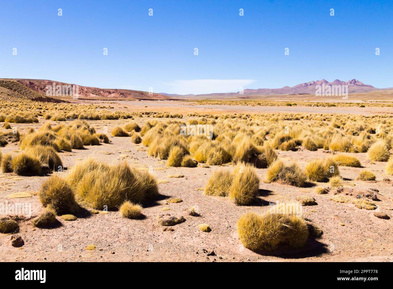 Bolivian mountains landscape,Bolivia.Andean plateau view Stock Photo ...