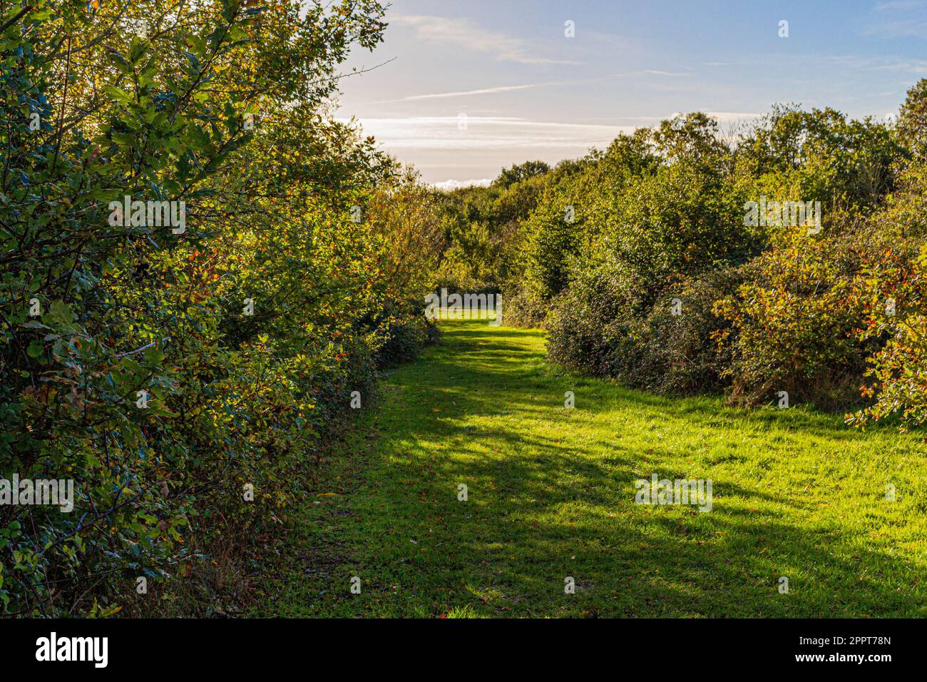 Dinton Pastures Country Park, a country park in the civil parish of St ...