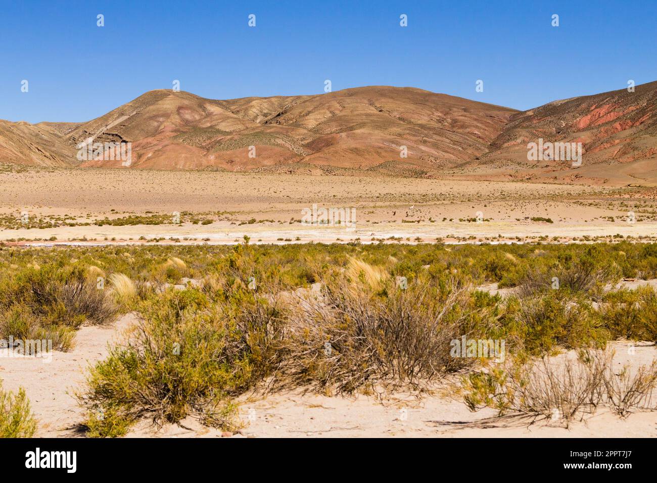 Bolivian mountains landscape,Bolivia.Andean plateau view Stock Photo ...