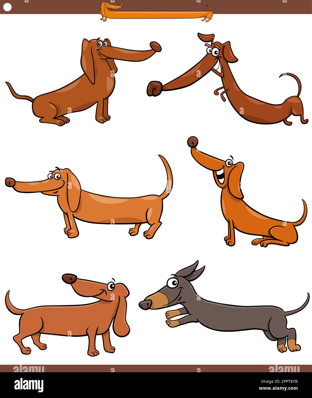 cartoon dachshunds purebred dogs animal characters set Stock Vector ...
