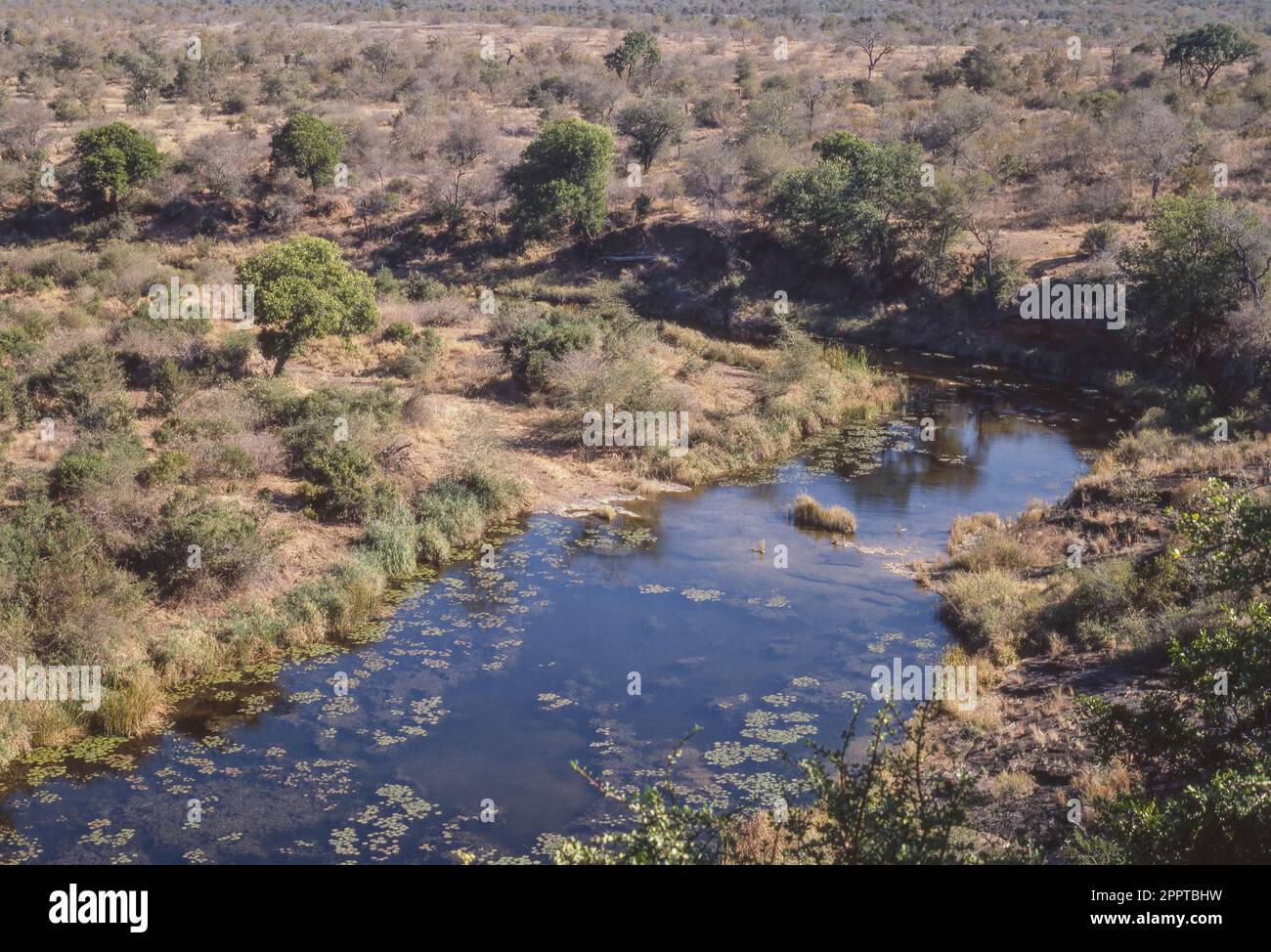 View of the bushveld and Sweni River from the N'Wanetsi Lookout in the ...