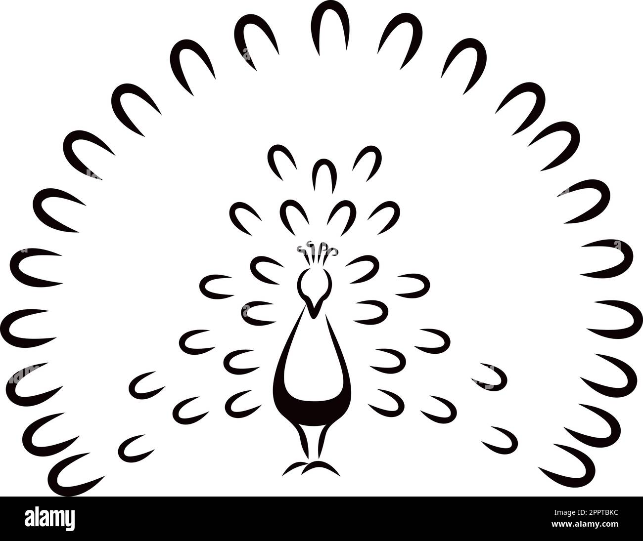 Peacock Standing Cut Out Stock Images And Pictures Alamy
