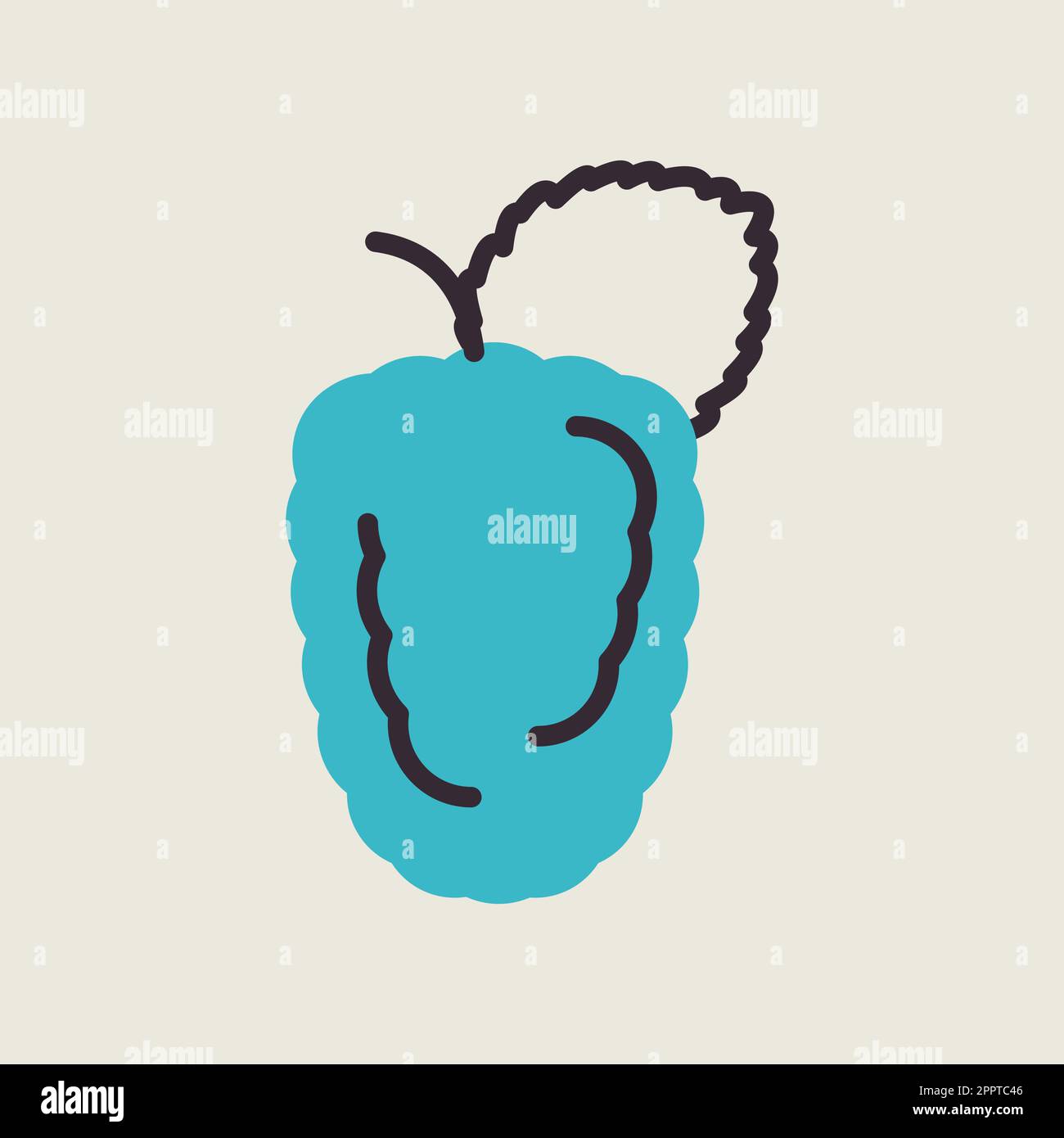 Mulberry fruit with leaves vector icon Stock Vector Image & Art - Alamy