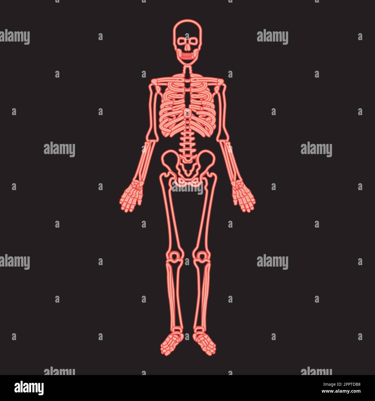 Neon human skeleton red color vector illustration image flat style ...