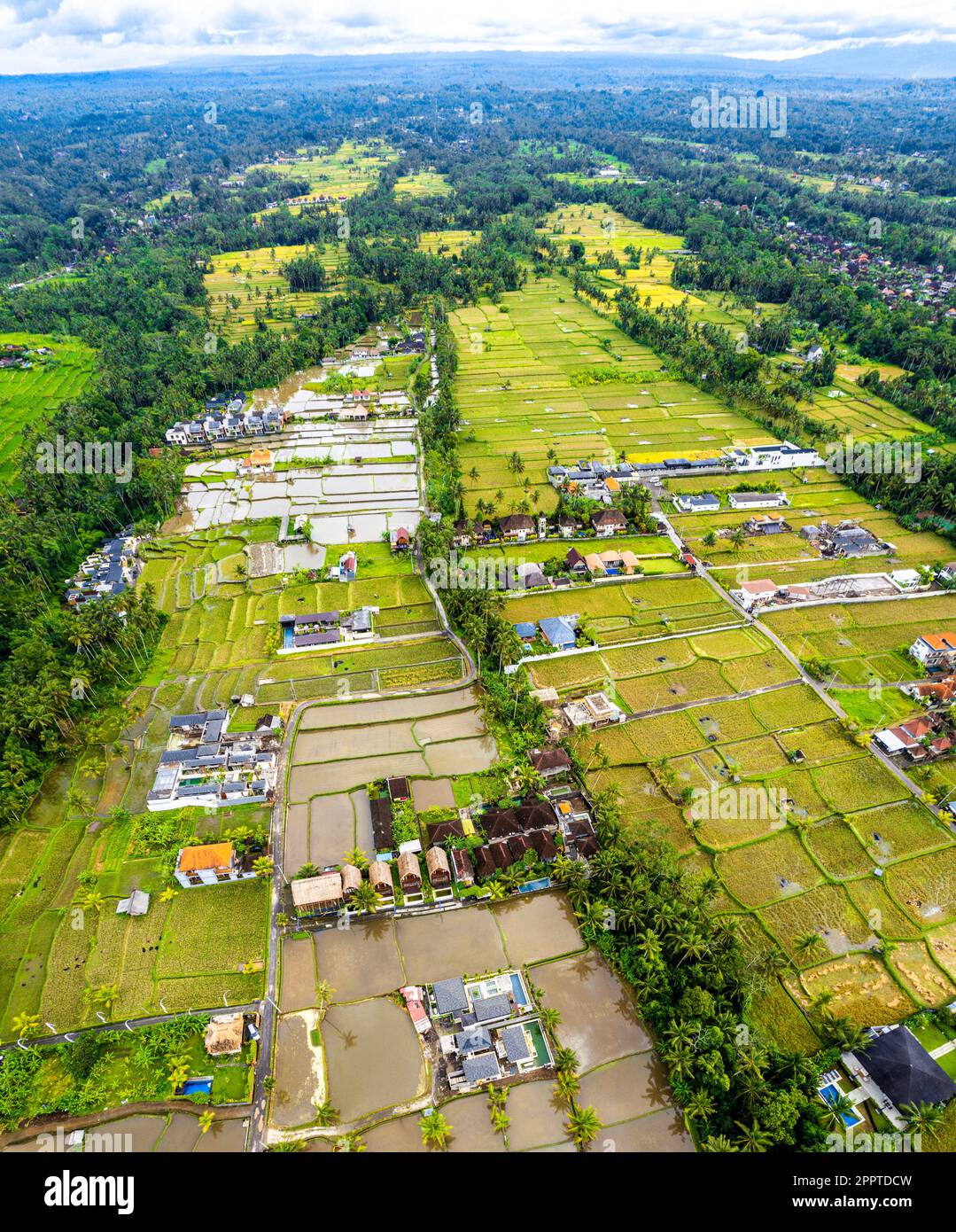 Aerial view of residential area in Ubud, Bali, Indonesia Stock Photo ...