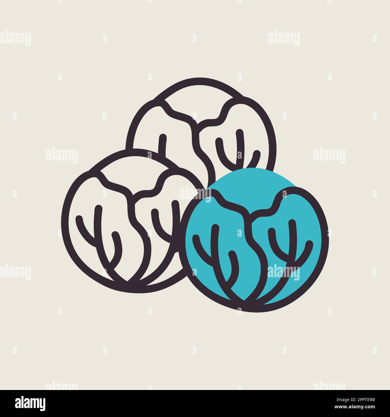 Brussels sprout crop Stock Vector Images - Alamy