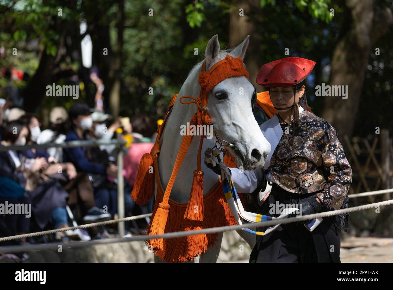 Yabusame (Japanese horseback archery) horses are led into the arena ...