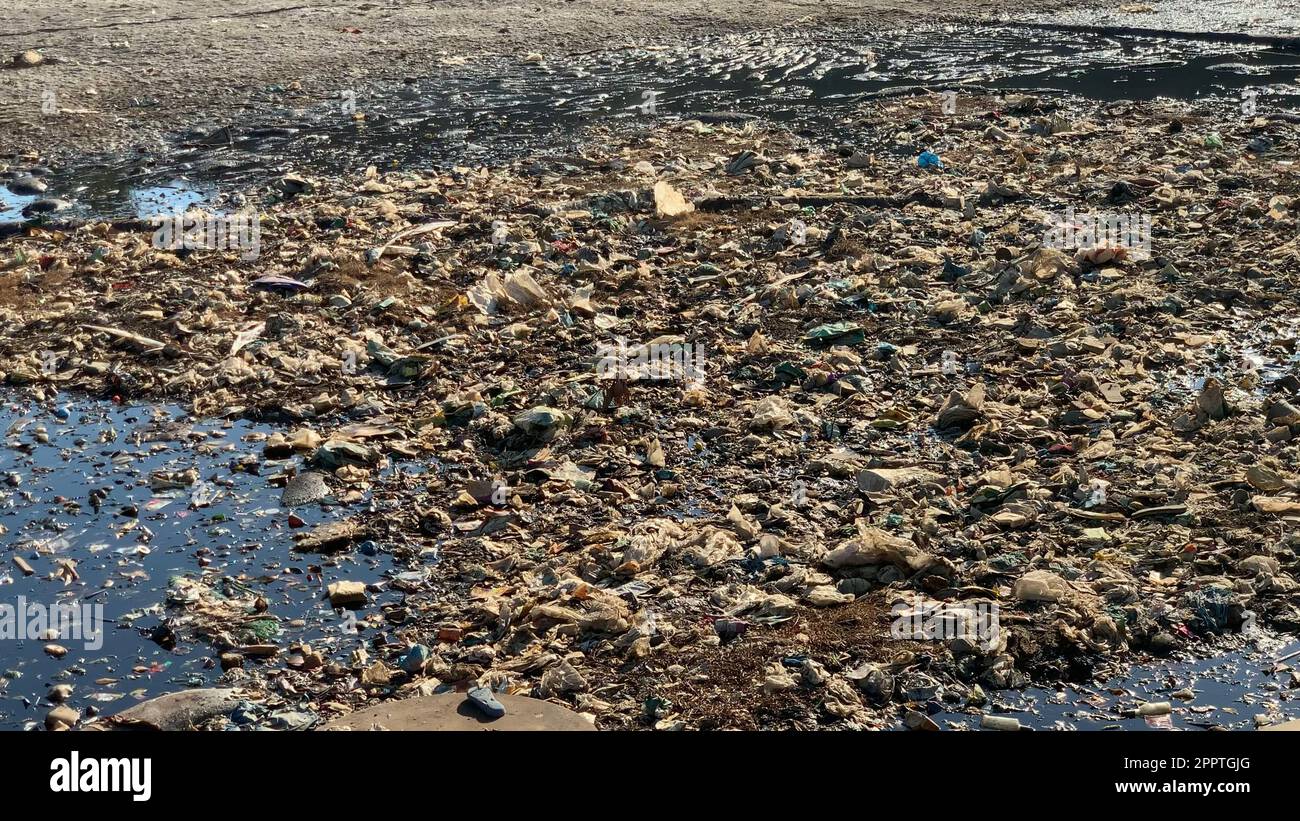 Environmental impact of plastic in the jungle hi-res stock photography ...