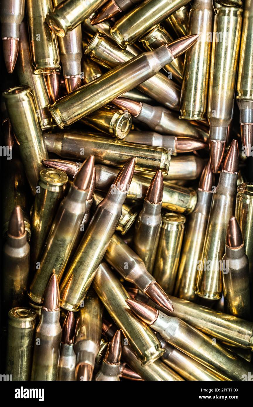 Rottweil, Germany. 24th Apr, 2023. Cartridges in .223 Remington caliber ...