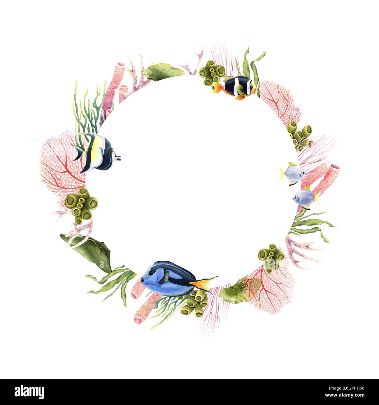Wreath with underwater corals, plants and tropical fish. Hand drawn ...