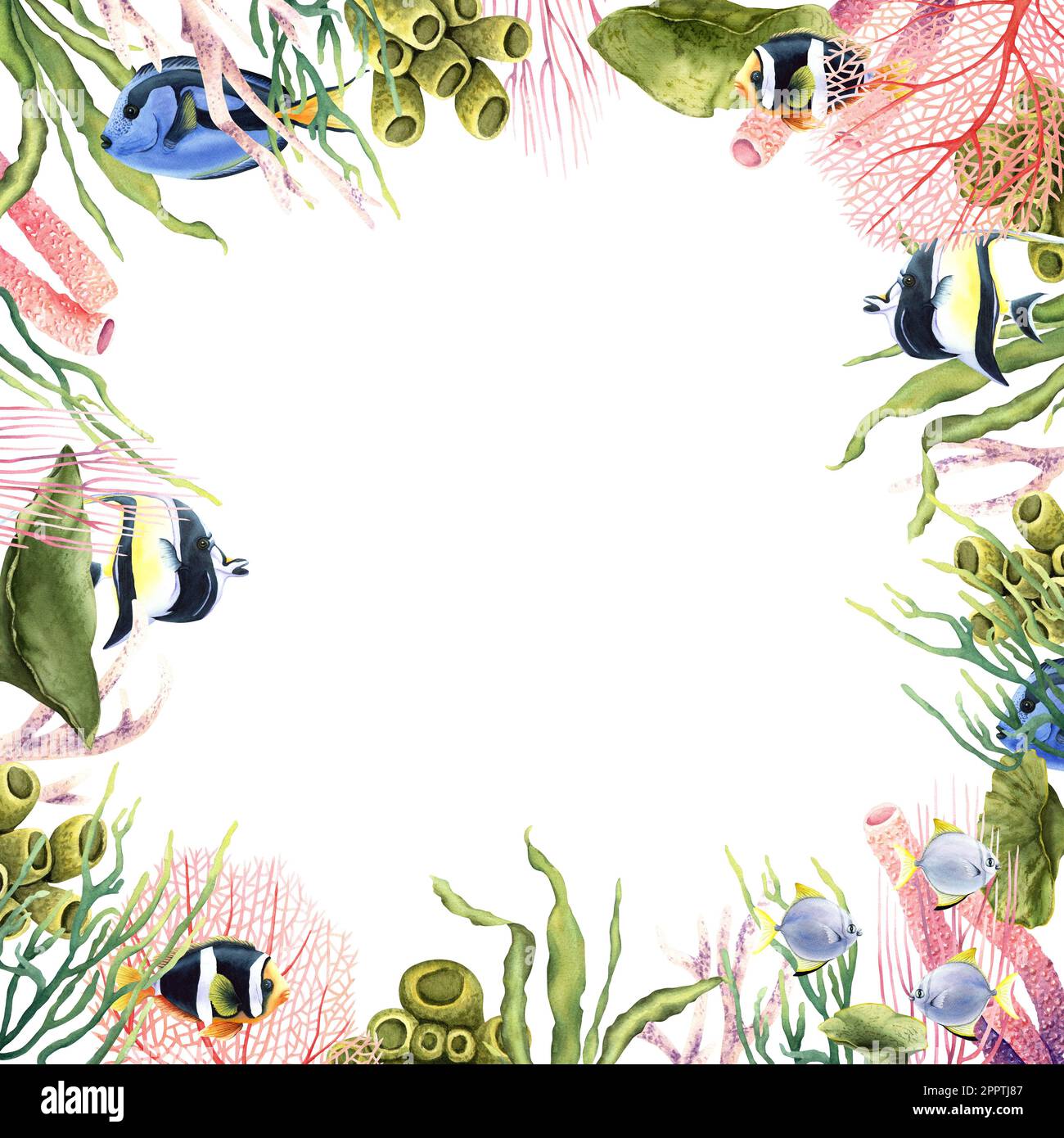 Frame border with underwater corals, plants and tropical fish. Hand ...