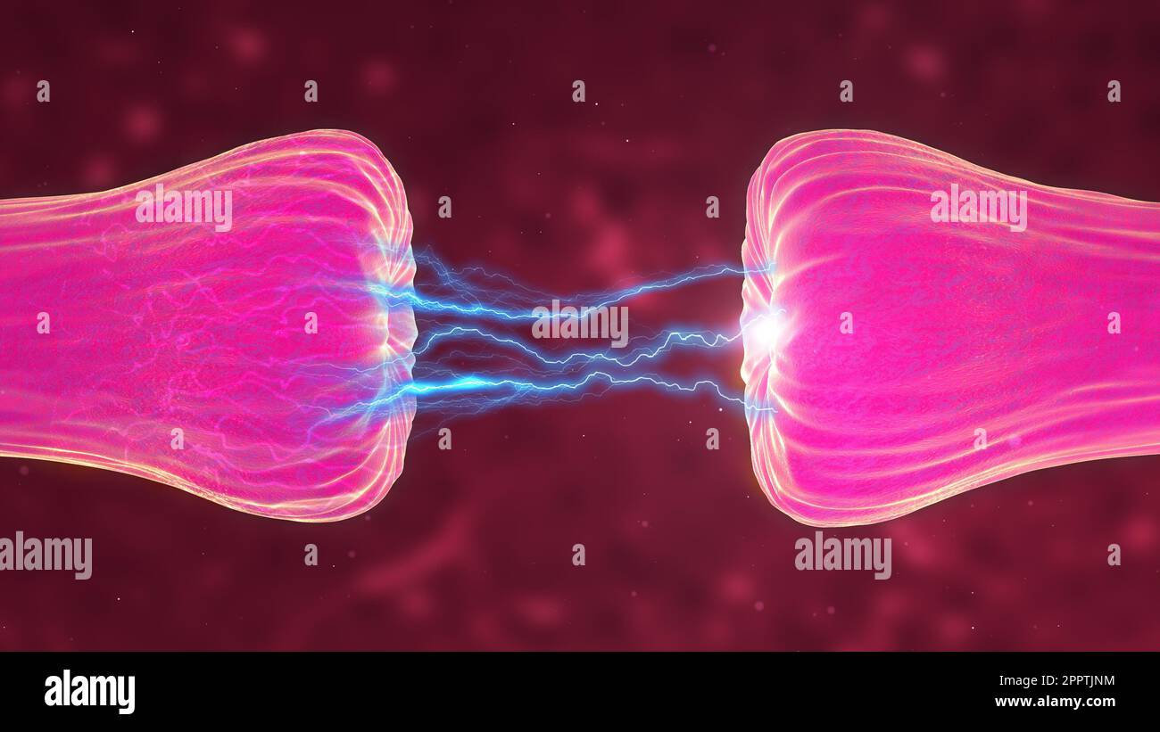 Neuronal and Synapse Activity animation showing chemical messengers or ...