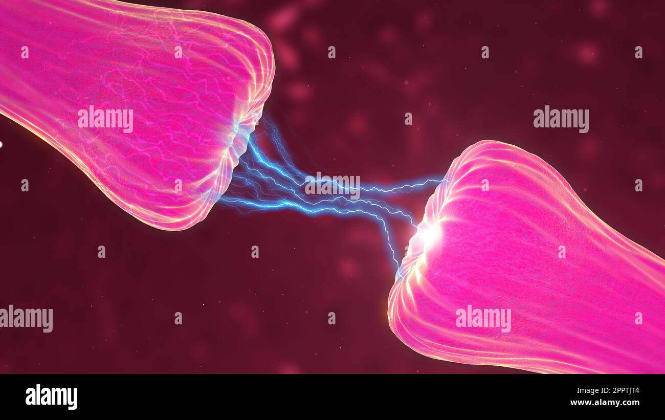 Neurotransmitters Animation