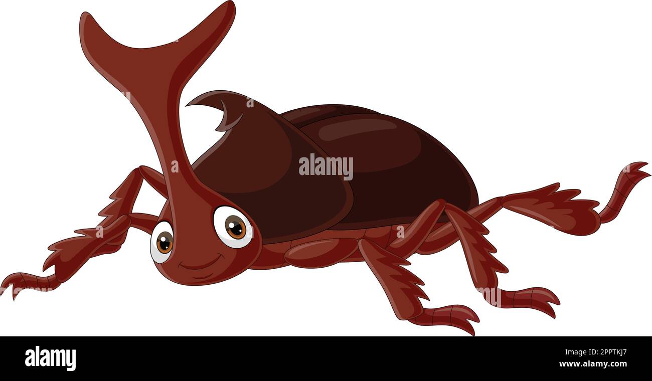 Cartoon stag beetle on white background Stock Vector Image & Art - Alamy