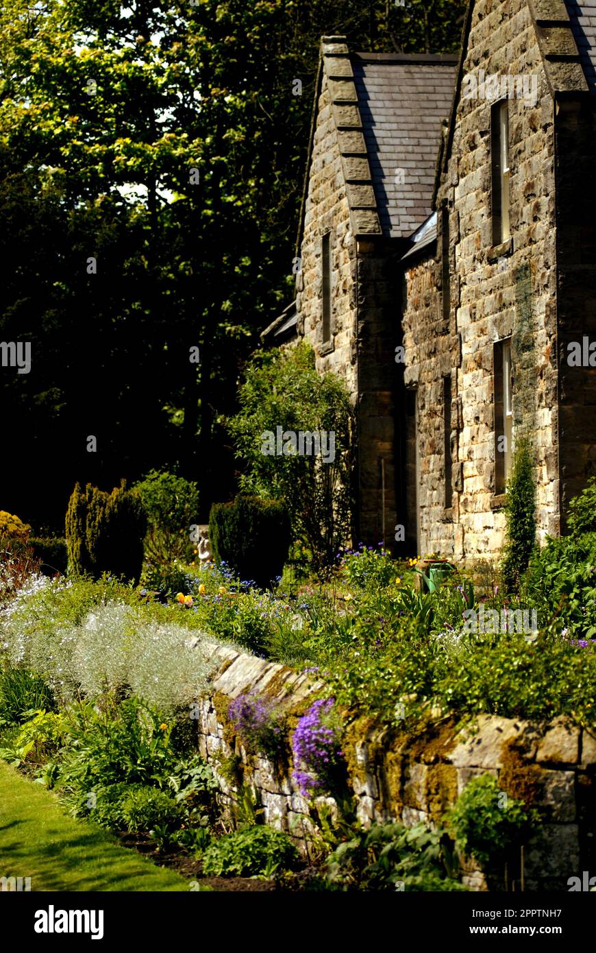 Cambo northumberland hi-res stock photography and images - Alamy