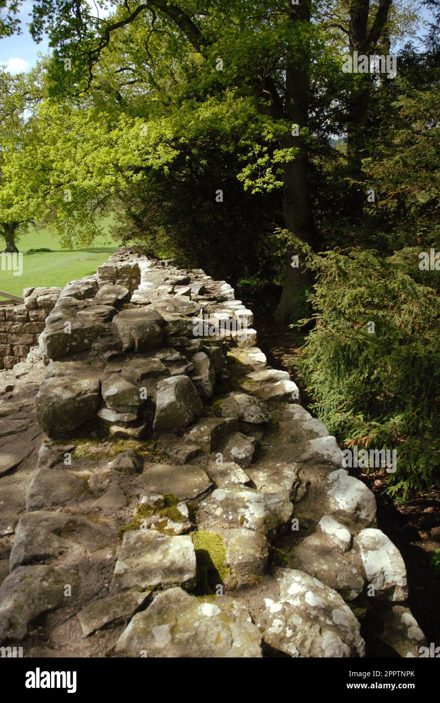 Brunton Turret - Hadrian's Wall, Chollerford, Northumberland Stock ...