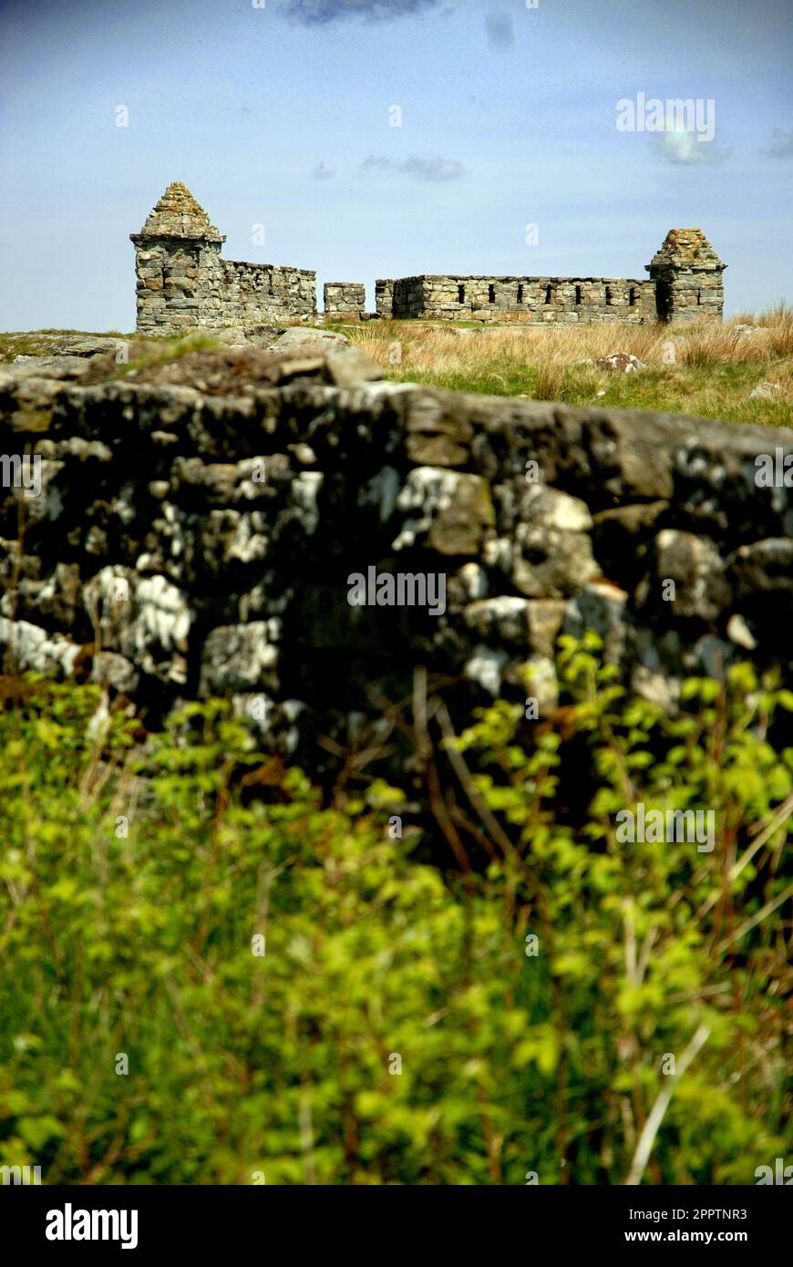 Codger Fort folly near Rothley in Northumberland Stock Photo - Alamy