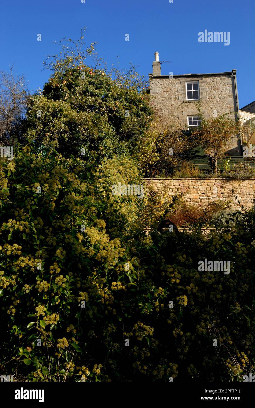 Corbridge village, Northumberland Stock Photo - Alamy