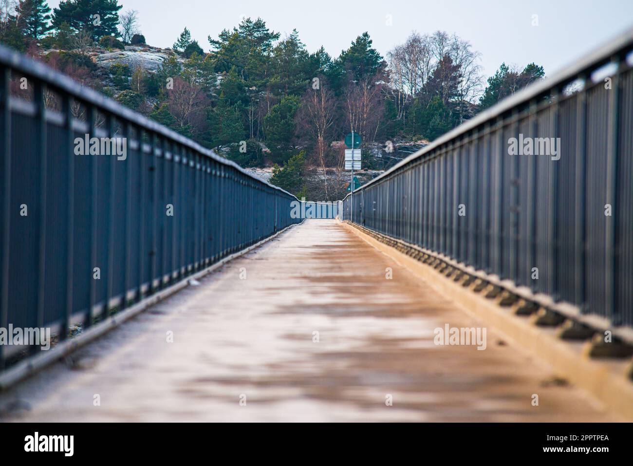 Narrow foot bridge by tree clad cliffs Stock Photo - Alamy